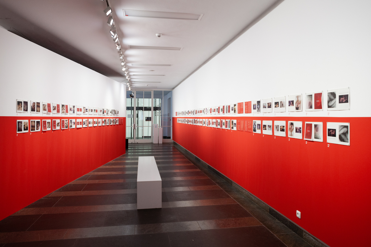 Der Greif - Issue 15